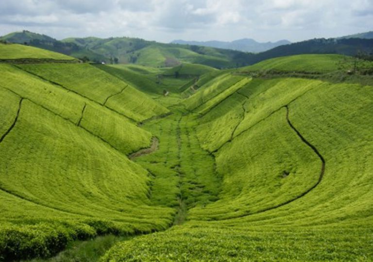Top 10 Places Holding Beauty and History of Rwanda | Visit Rwanda